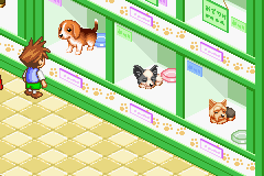 Buy Dogz for GBA | retroplace