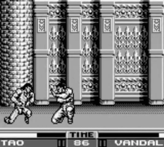 Buy Raging Fighter for GAMEBOY | retroplace