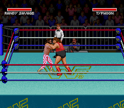 Buy WWF Super Wrestlemania for SNES | retroplace